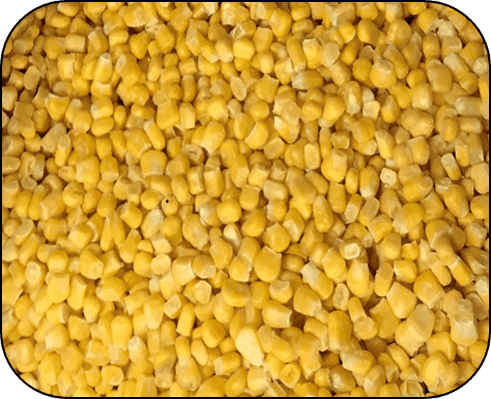 FROZEN SWEET CORN KERNELS - YISION Foods intl